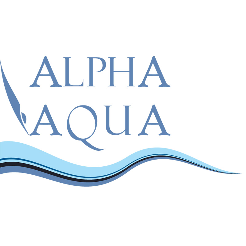 Piscine Skimmer ou Débordement ? Le Guide Comparatif | Blog Alpha L'Aqua